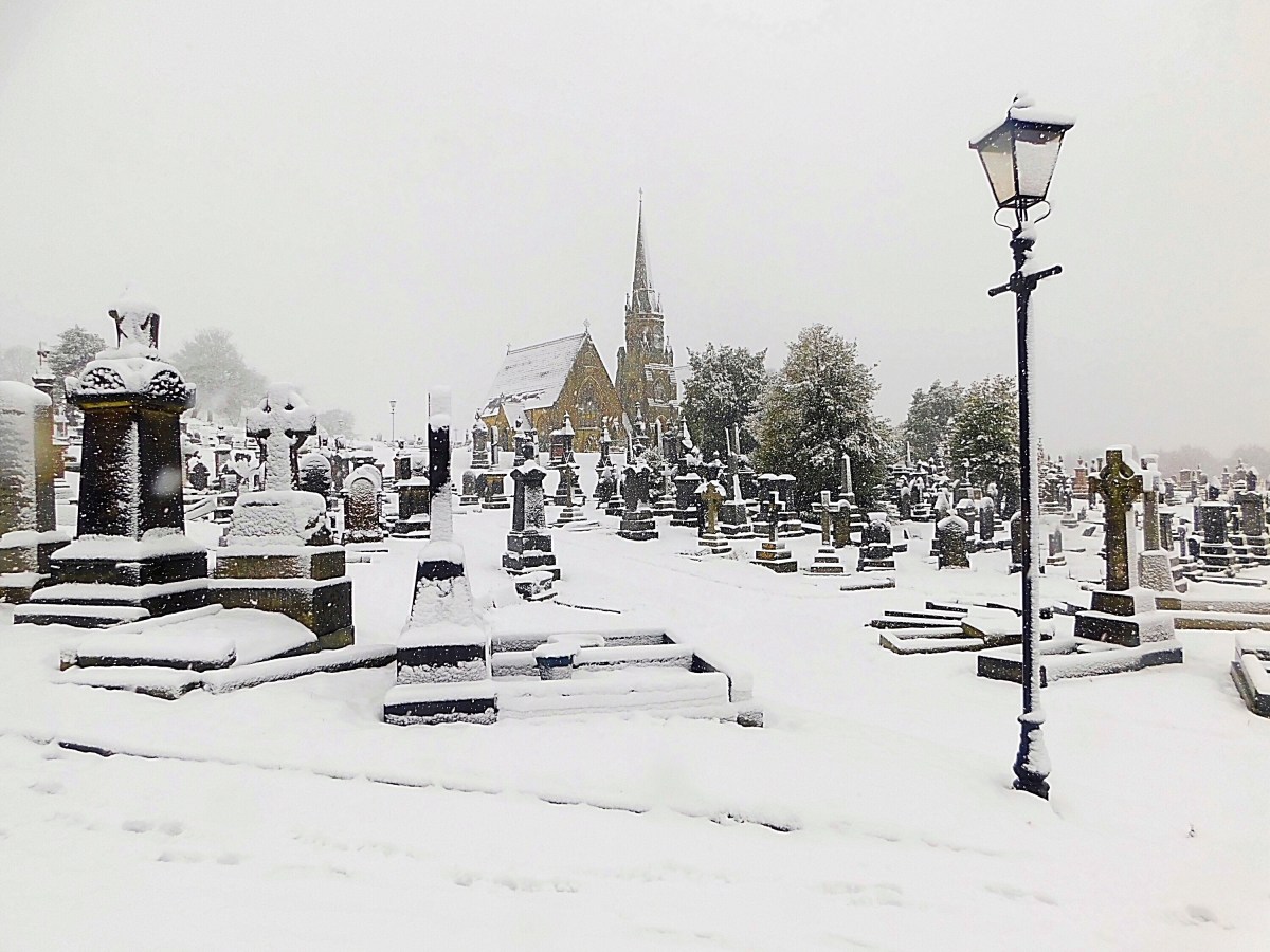 Thomas Donlan (Senior) | PastToPresentGenealogy