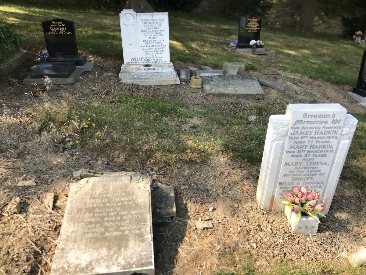 A Grave Disturbance in Batley | PastToPresentGenealogy